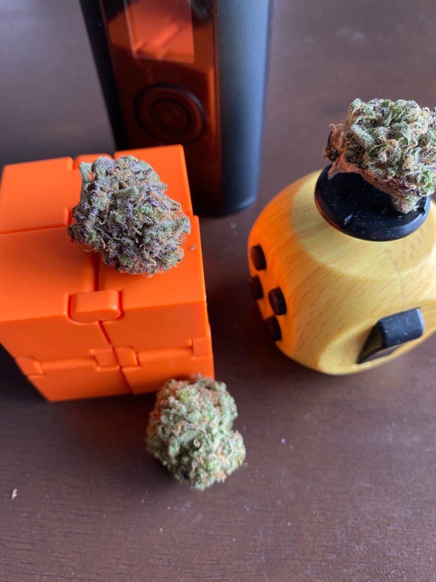 Peyote Critical – Neurodivergent & Stoned